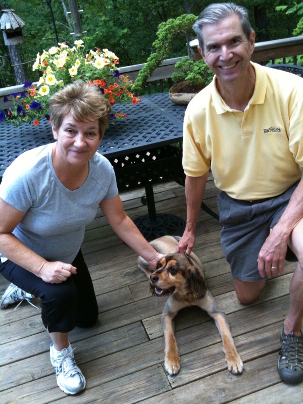 Isaac no longer pulls on his leash. | Kabler School For Dogs